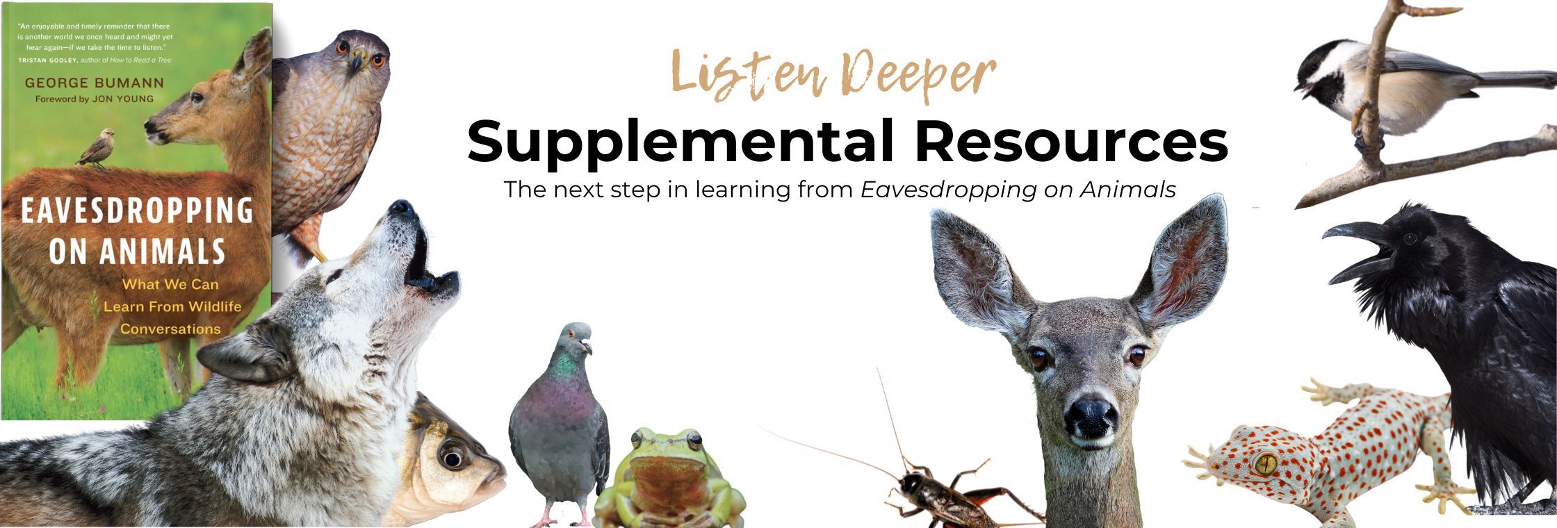 Supplemental Resources – 1 | George Bumann Sculpture